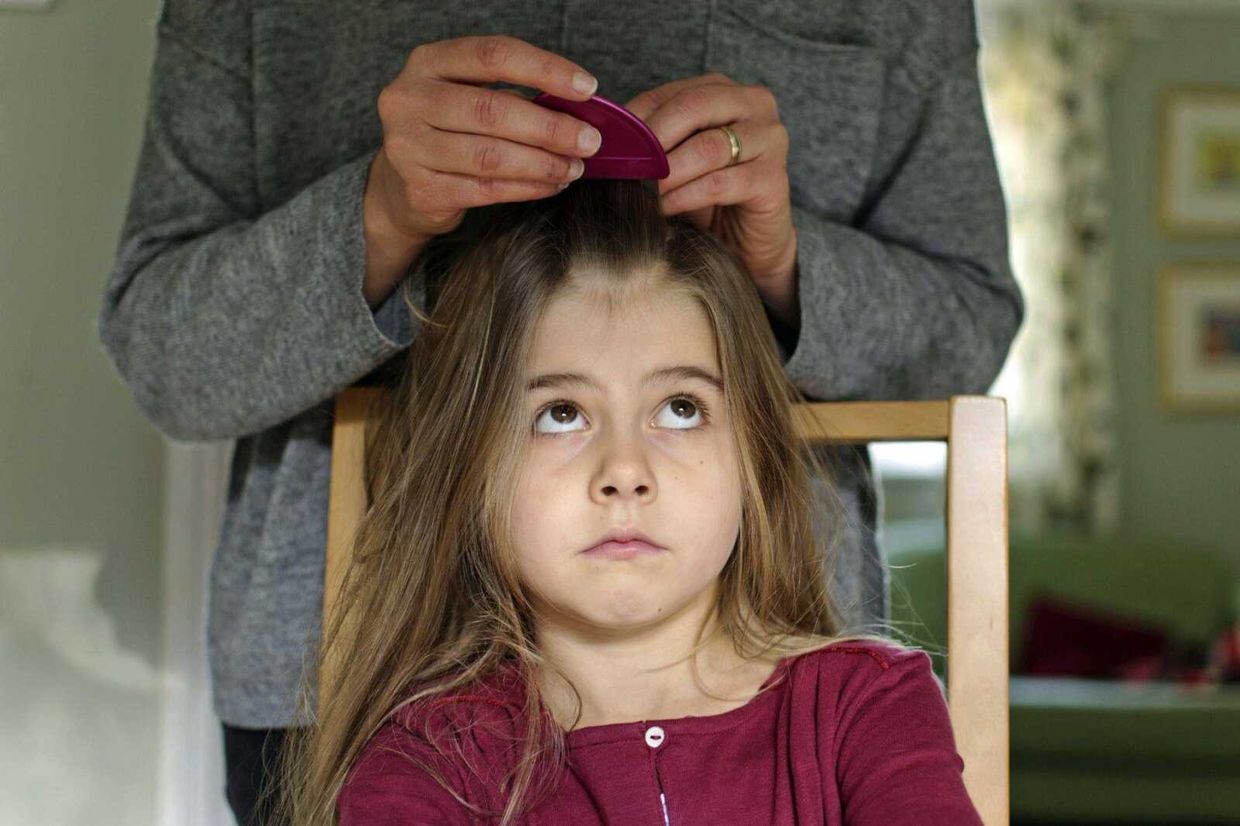Don't bug me: Tips for preventing and battling super lice