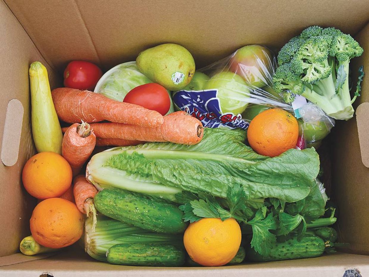 Gov. Kehoe's SNAP order follows through on failed legislative effort;