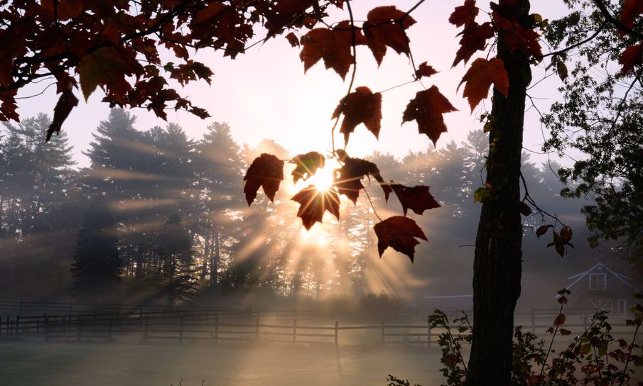 Here's what happens to your body when clocks 'fall back' an hour