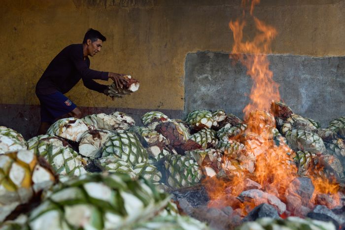 Mezcal's popularity is booming in the US. That comes with a growing en...