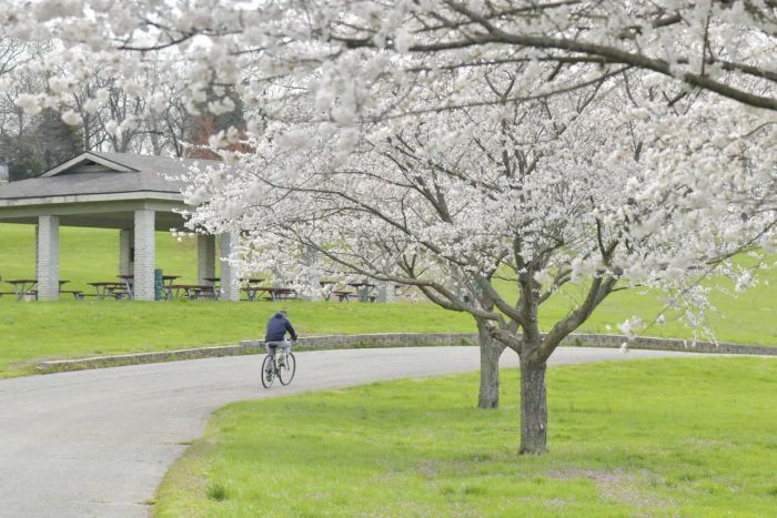 Tips for allergy sufferers to ease misery during sneezin’ se...