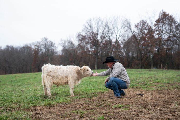 Building Businesses and Herds: Steve Stroder’s second act blends famil...