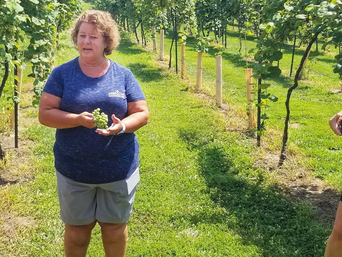 Jackson Agri-Business tour scheduled in July