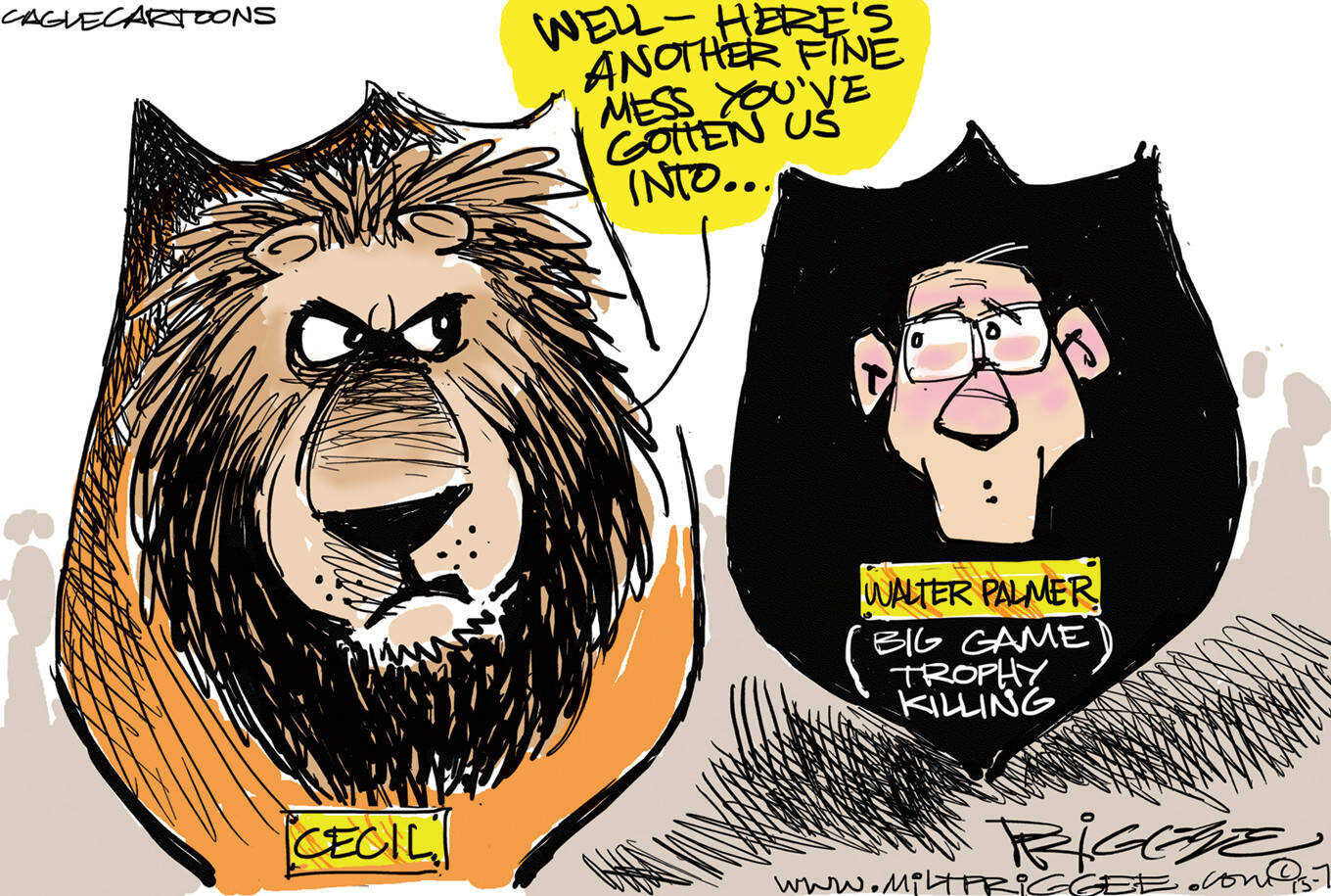 Editorial cartoons 8-4-15