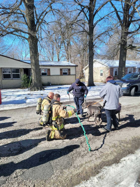 Sikeston DPS rescues three dogs in fire