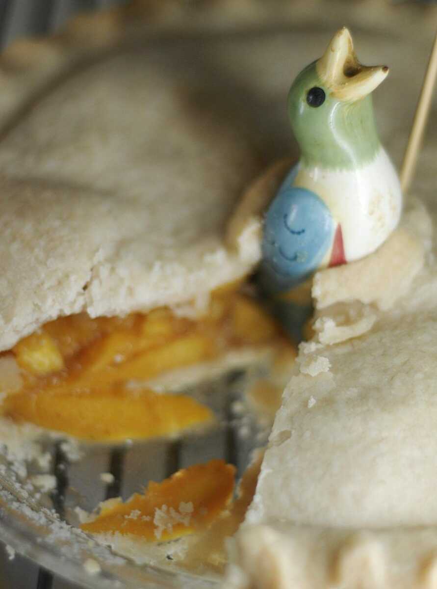 What's a pie bird?