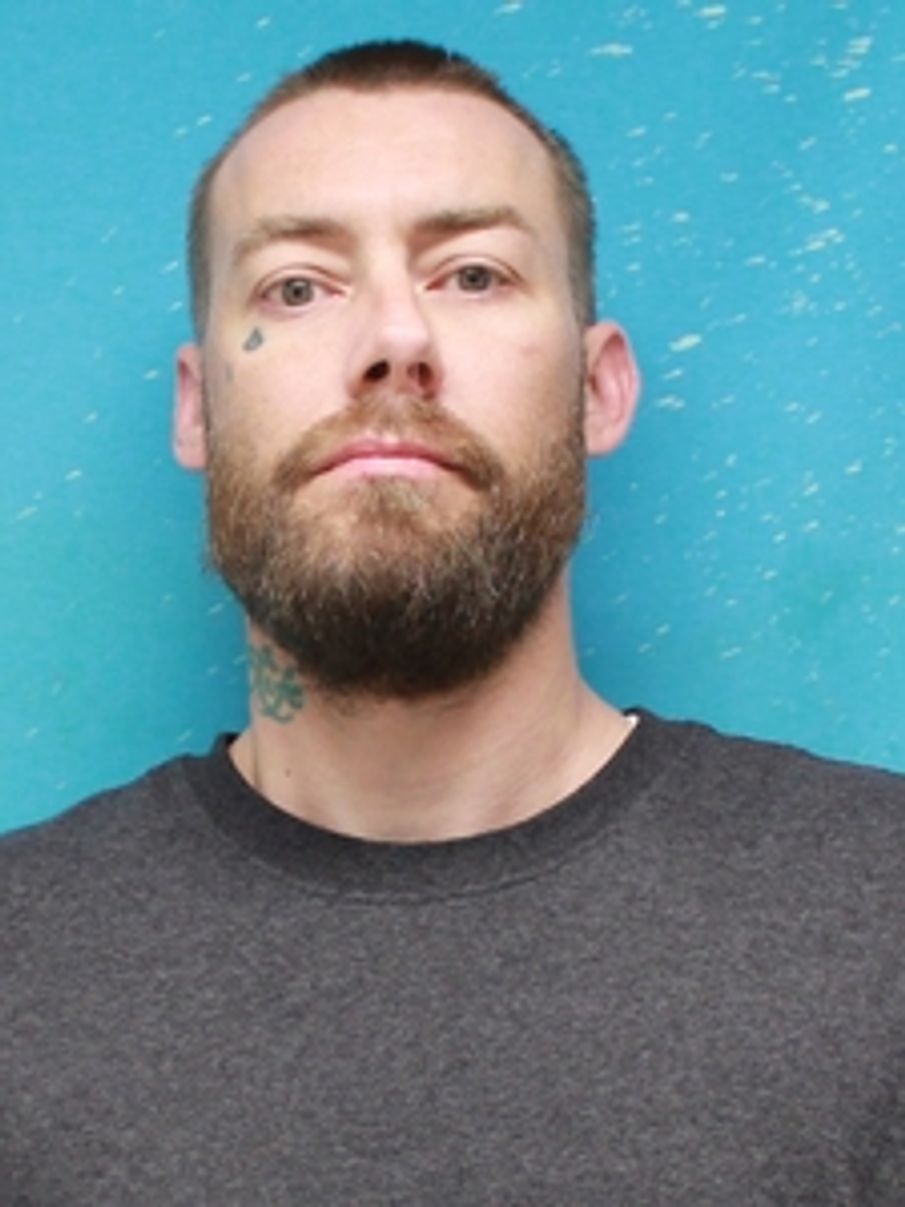 What do public documents say about Leon Lamb as it relates to Mischell...