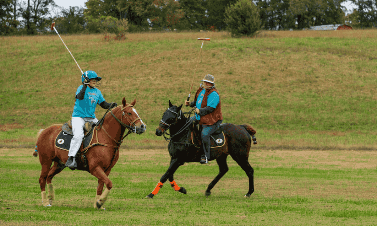 Playing Polo: Little Egypt Polo Club welcomes members of all ages who ...
