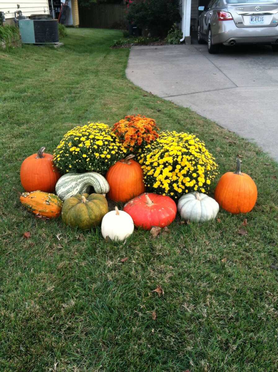 Fall mums and pumpkin display