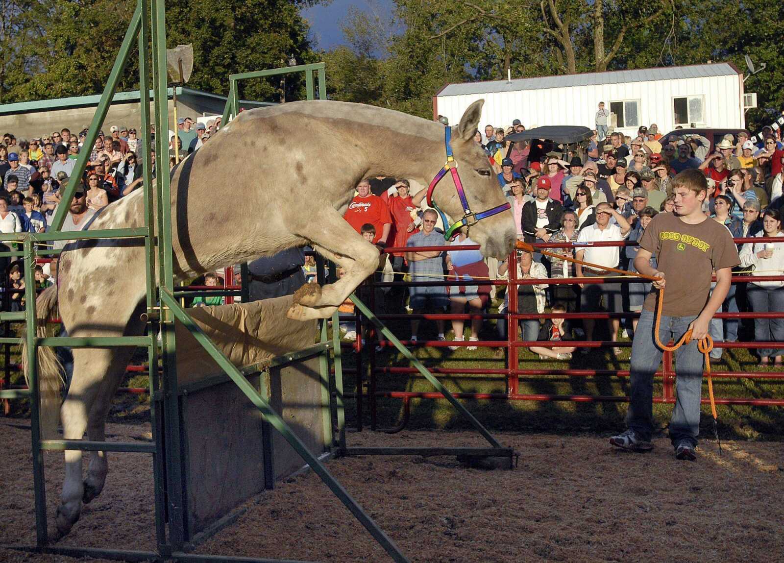 Fair in Altenburg features popular mule jumping event