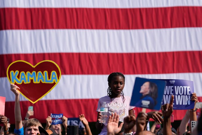 PHOTO COLLECTION: Election 2024 Campaign for President, November 2