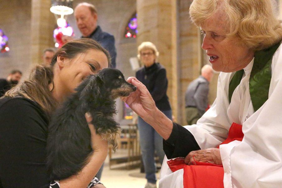 Pets receive blessing at St. Louis church