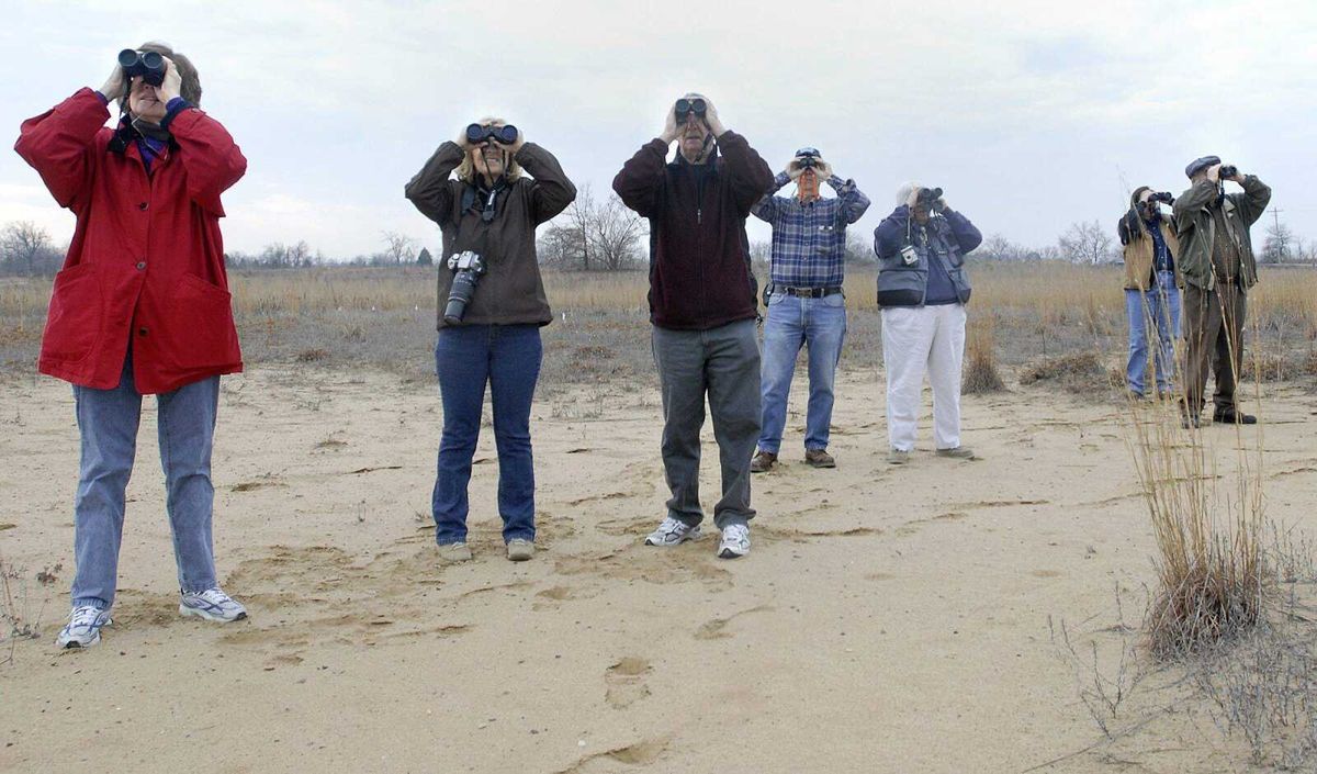 Bird is the word: Swamp Candle Birders brings local birdwatchers toget...