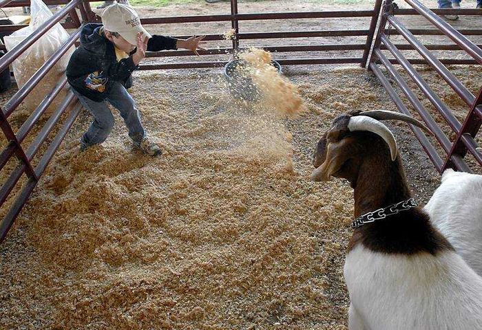 Workshops held at Arena Park goat sale