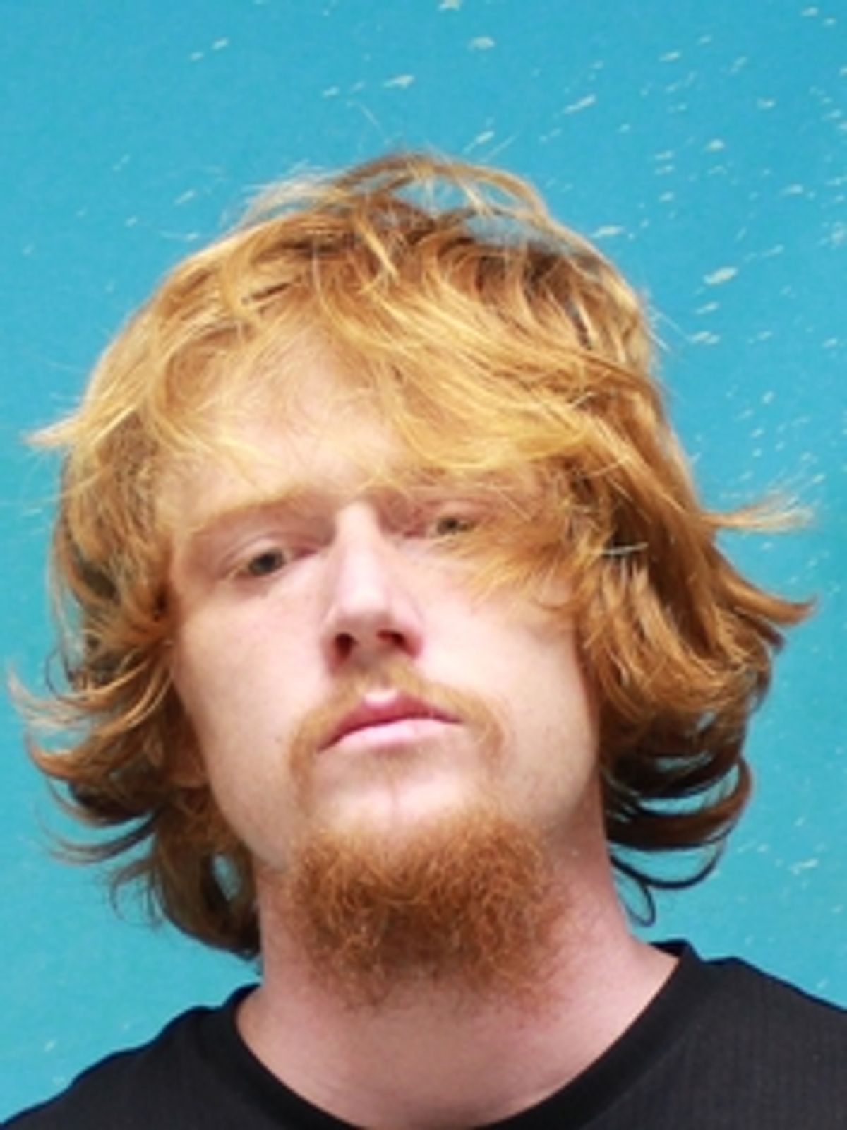 Traffic stop in Cape Girardeau leads to discovery of meth, c...