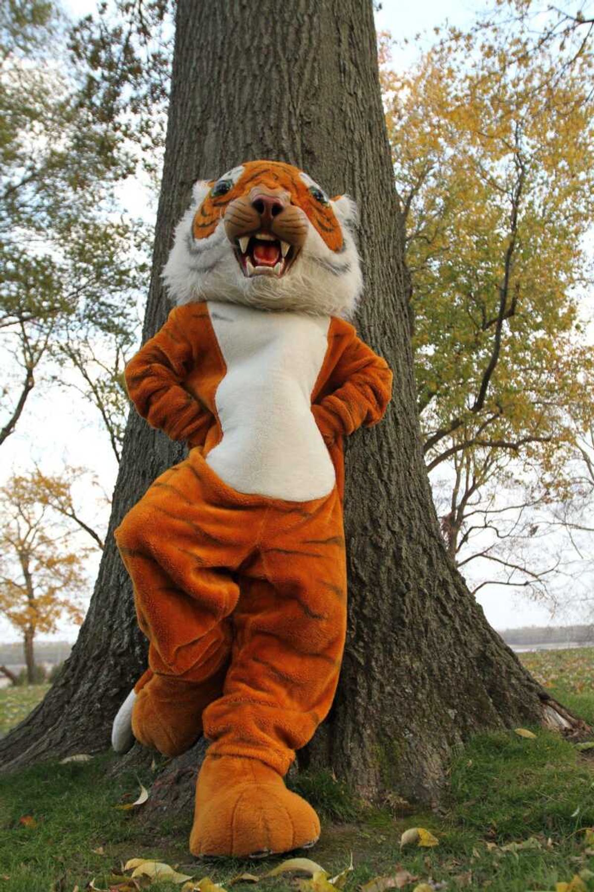 Underneath the mascot's mask