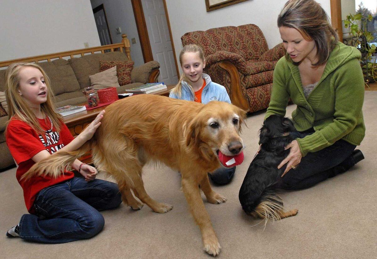 Fostering love: Safe Harbor, Humane Society volunteers take animals in...