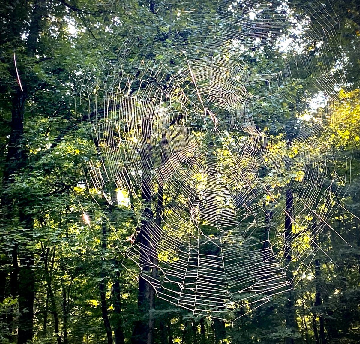 Horrell: Don't get caught in this