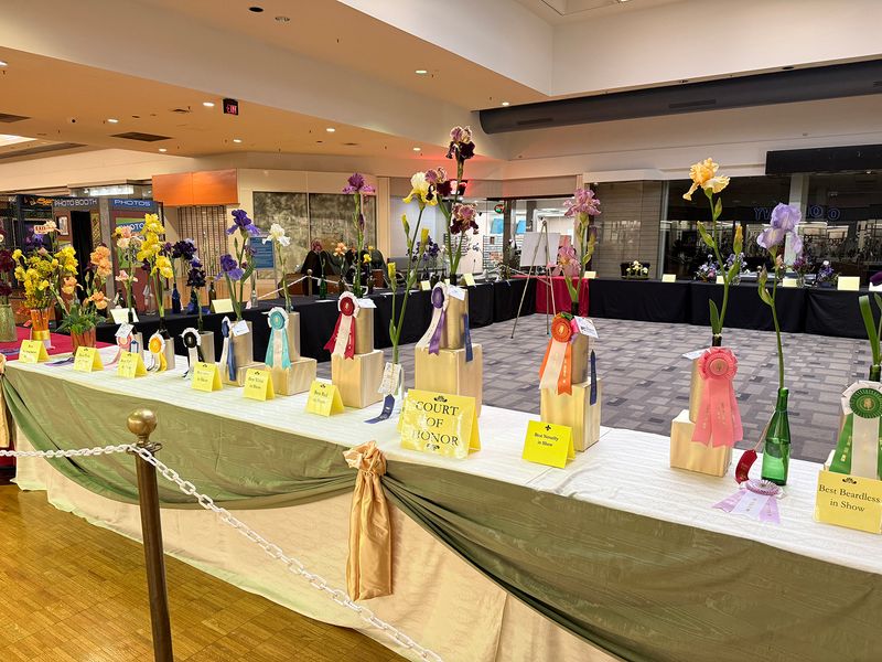 SEMO Iris Society holds Iris Show