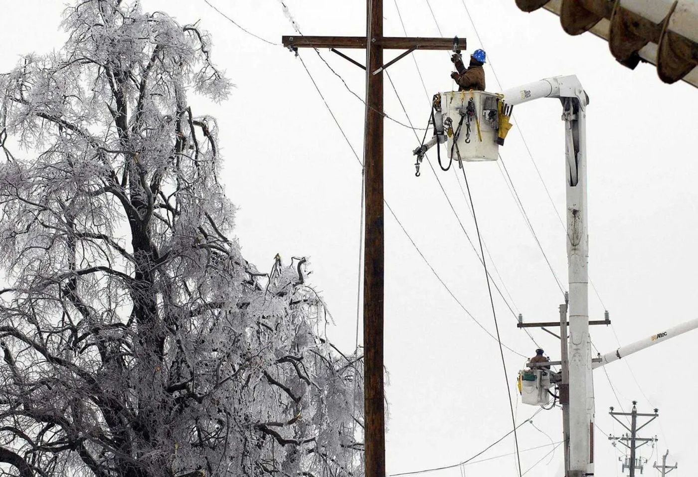 Did you know? What does OSHA say about employees working in the cold?