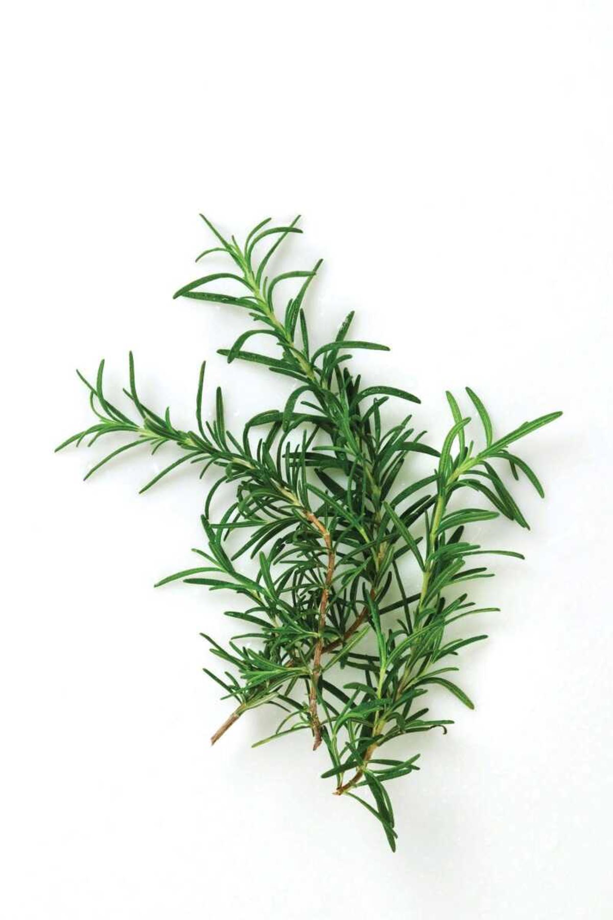 10 things to do with rosemary