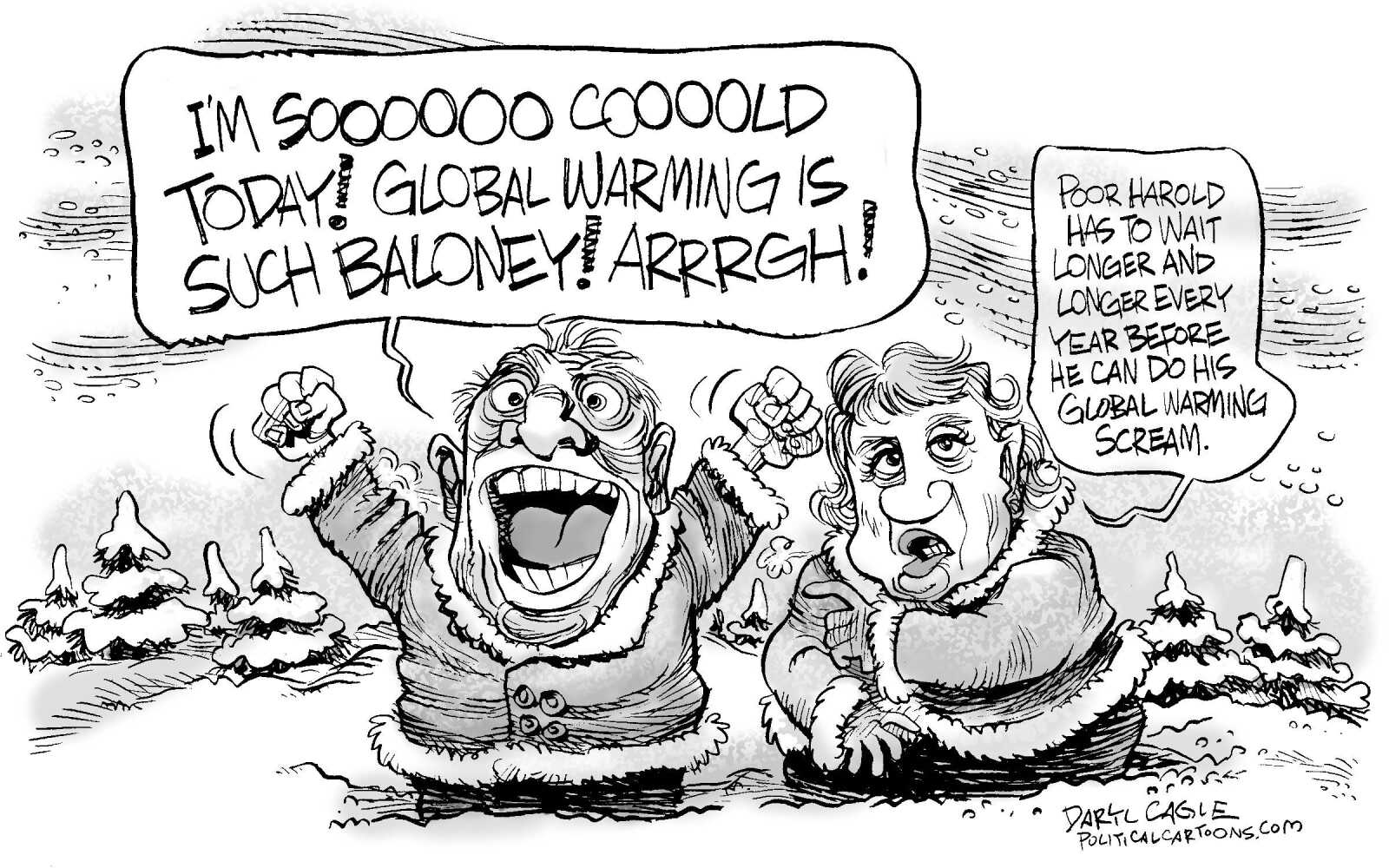 Editorial cartoons 1-6-13