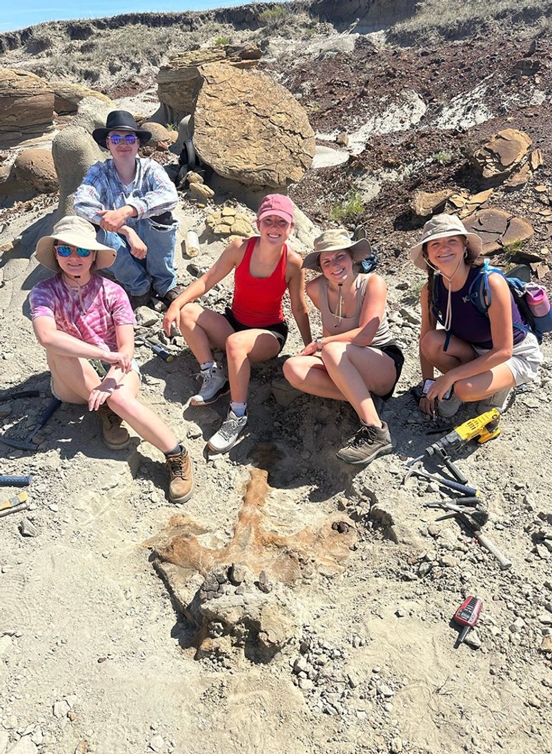 SEMO students unearth T. rex bone on Montana fossil dig