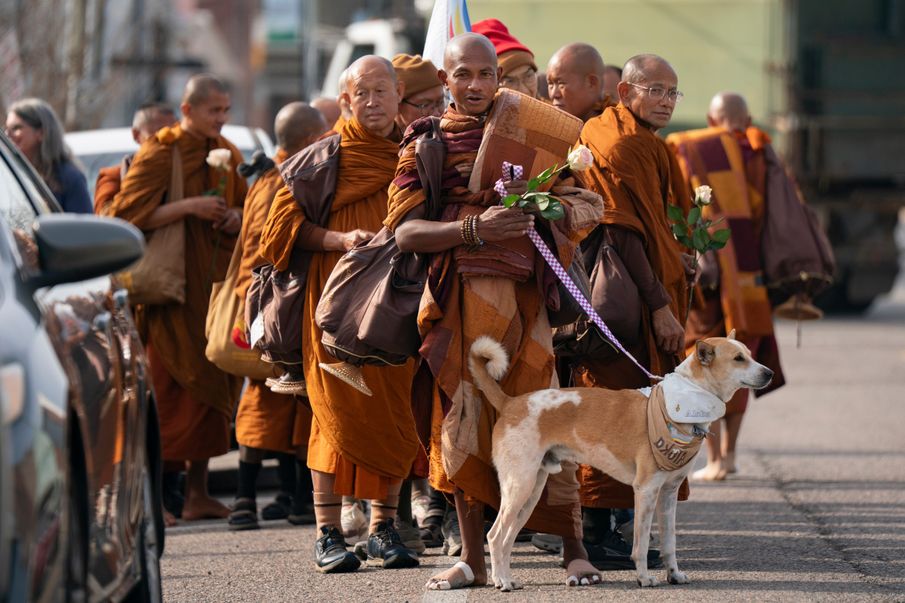 Buddhist monks and their dog captivate Americans while walking for pea...