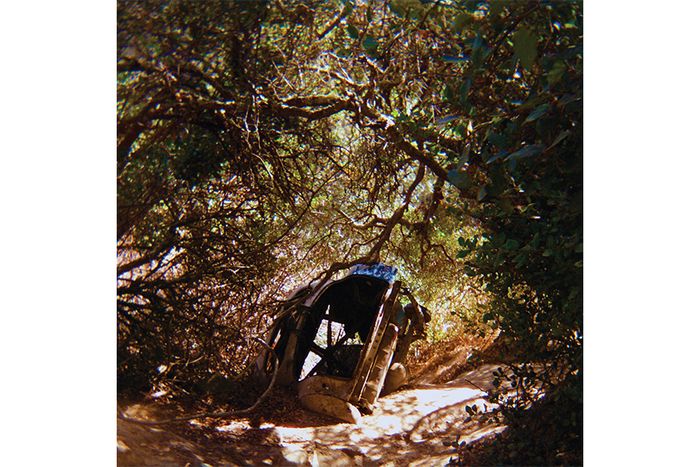 Music Review: Virtuosic guitarist Ty Segall finds a new sweet spot on ...