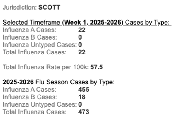 Cape Girardeau County experiencing high rate of flu, nearly double rat...
