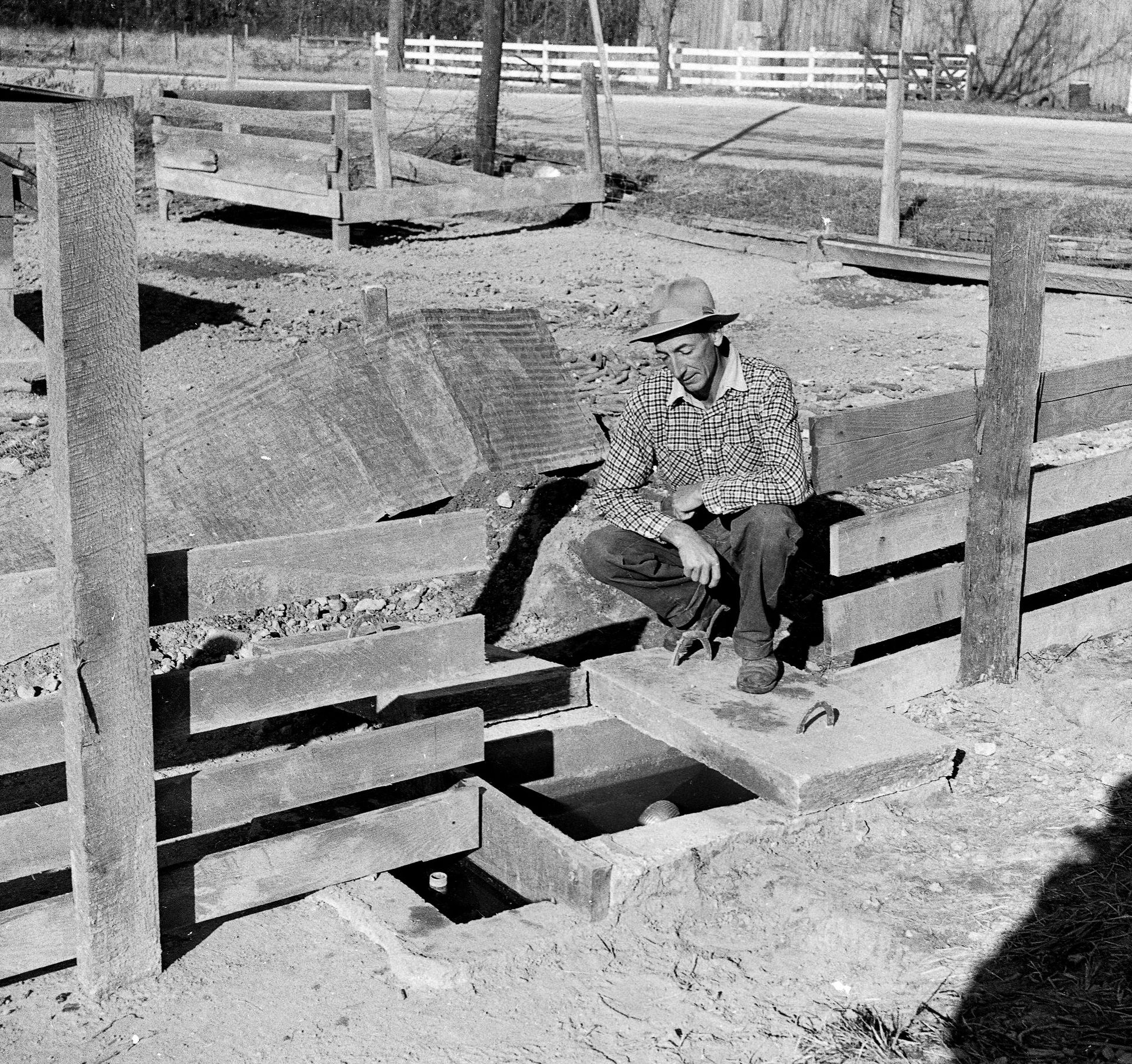 Captured on Film: Jackson farmer builds innovative hog water...