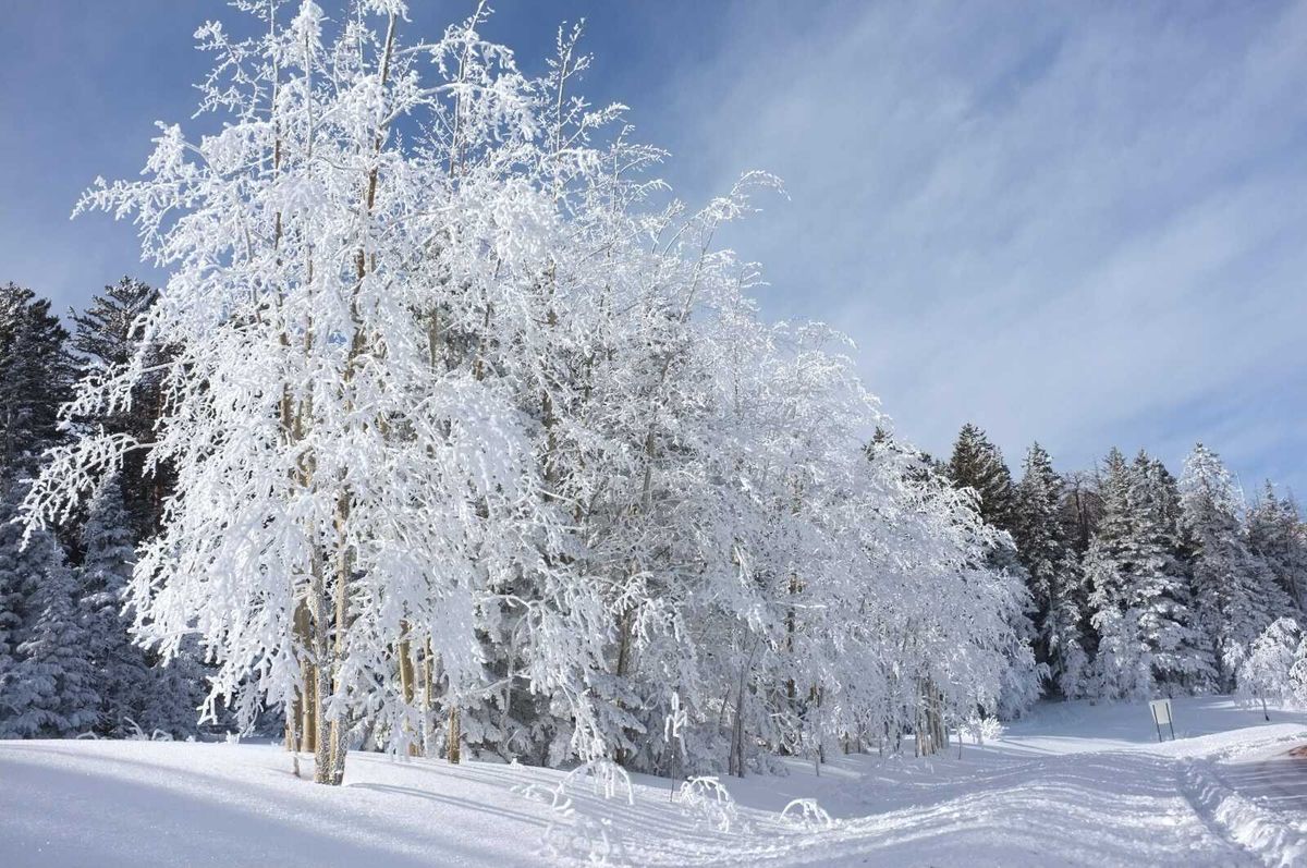 Did you know? 9 things to remember when bitterly cold weather arrives