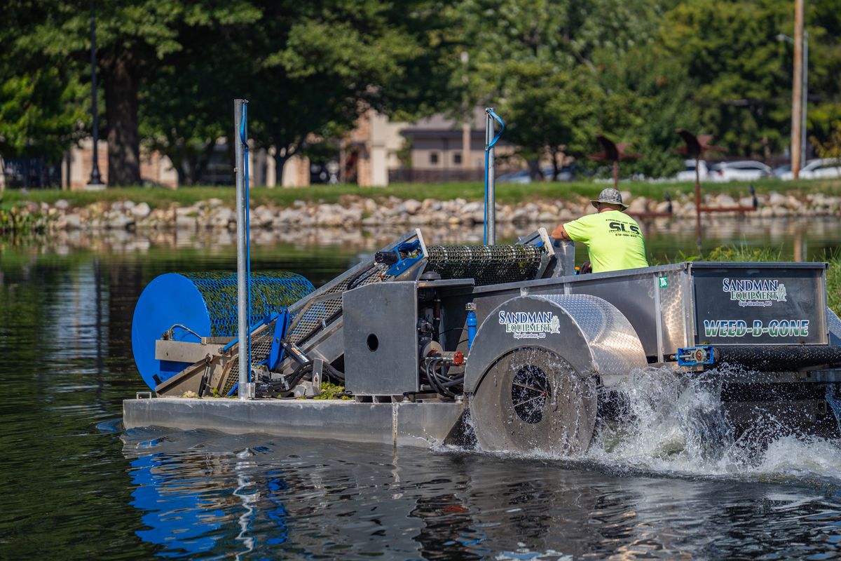City of Cape suspects phosphorus as root of Capaha Park pond's algae b...