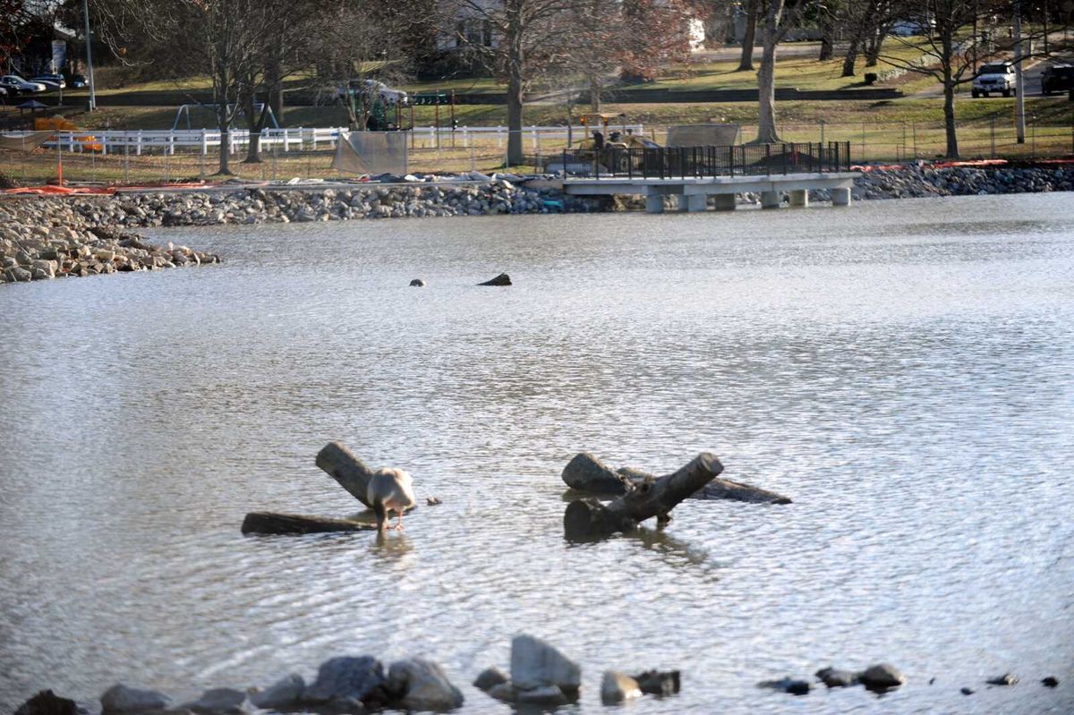 Capaha Park Pond improvements nearing completion