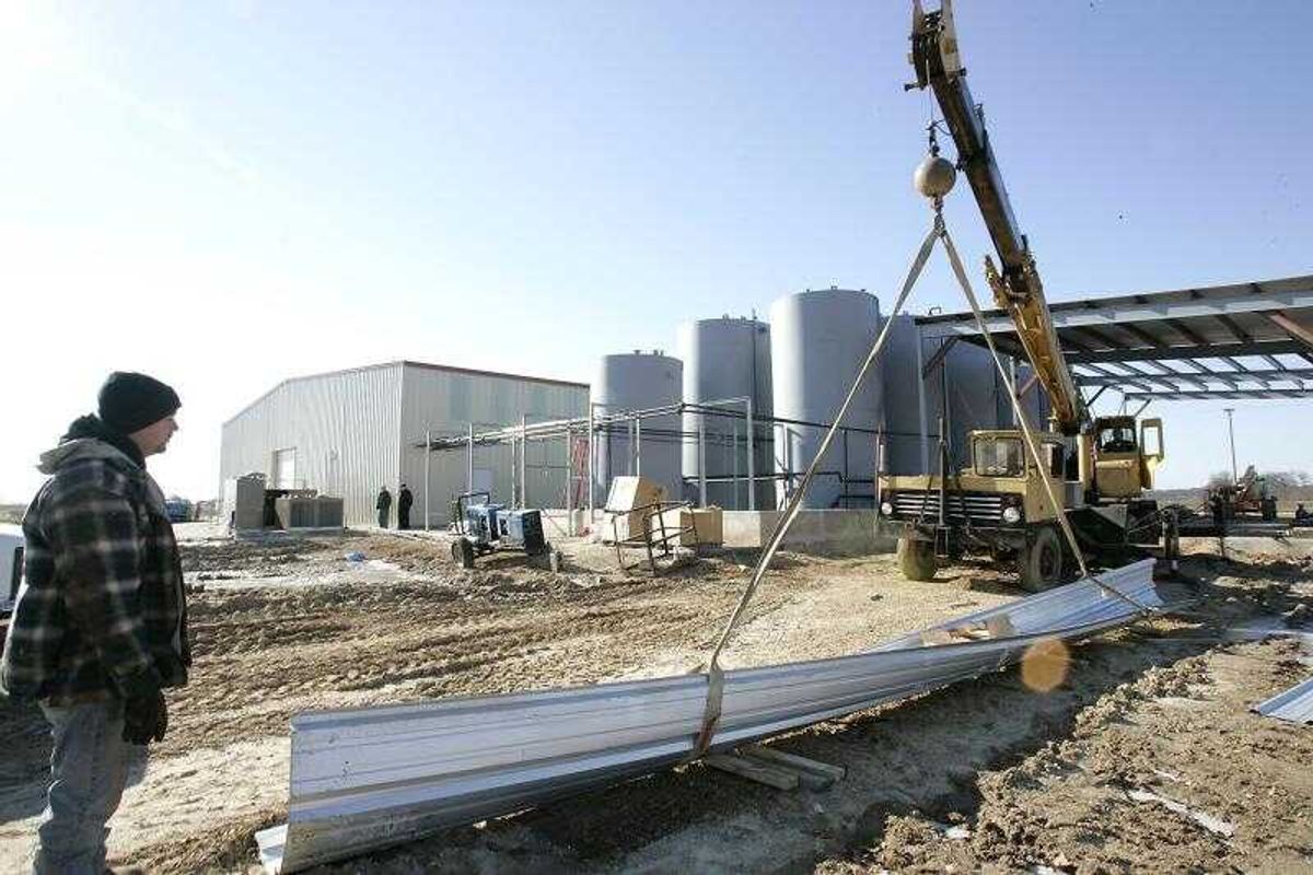 Animal fat becomes key biodiesel ingredient