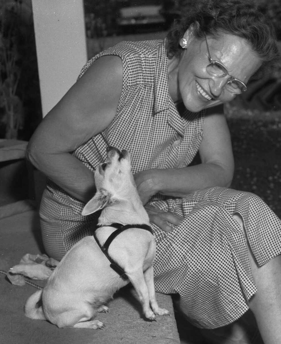 Mystery photo gallery #51