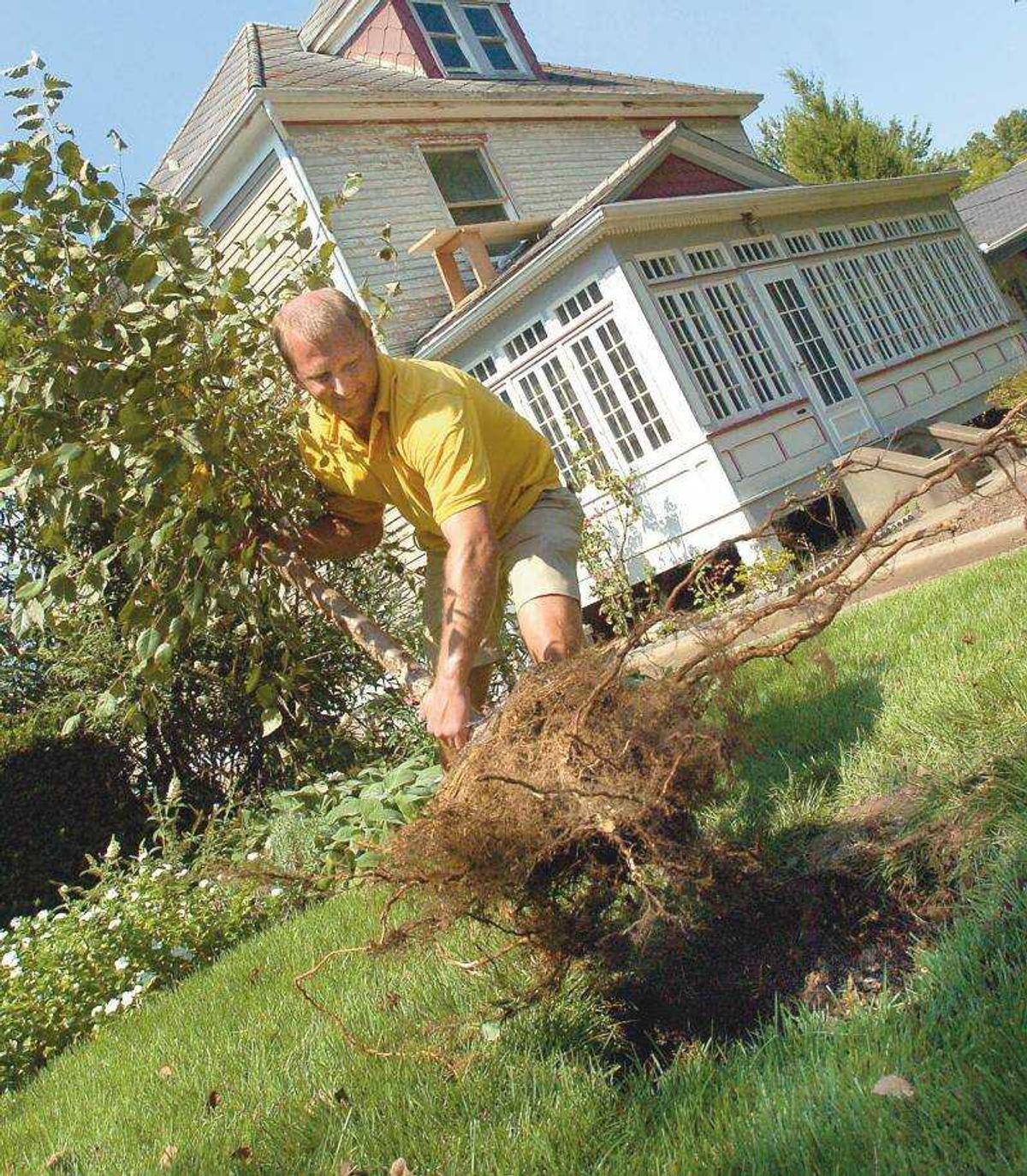 Fall is for planting