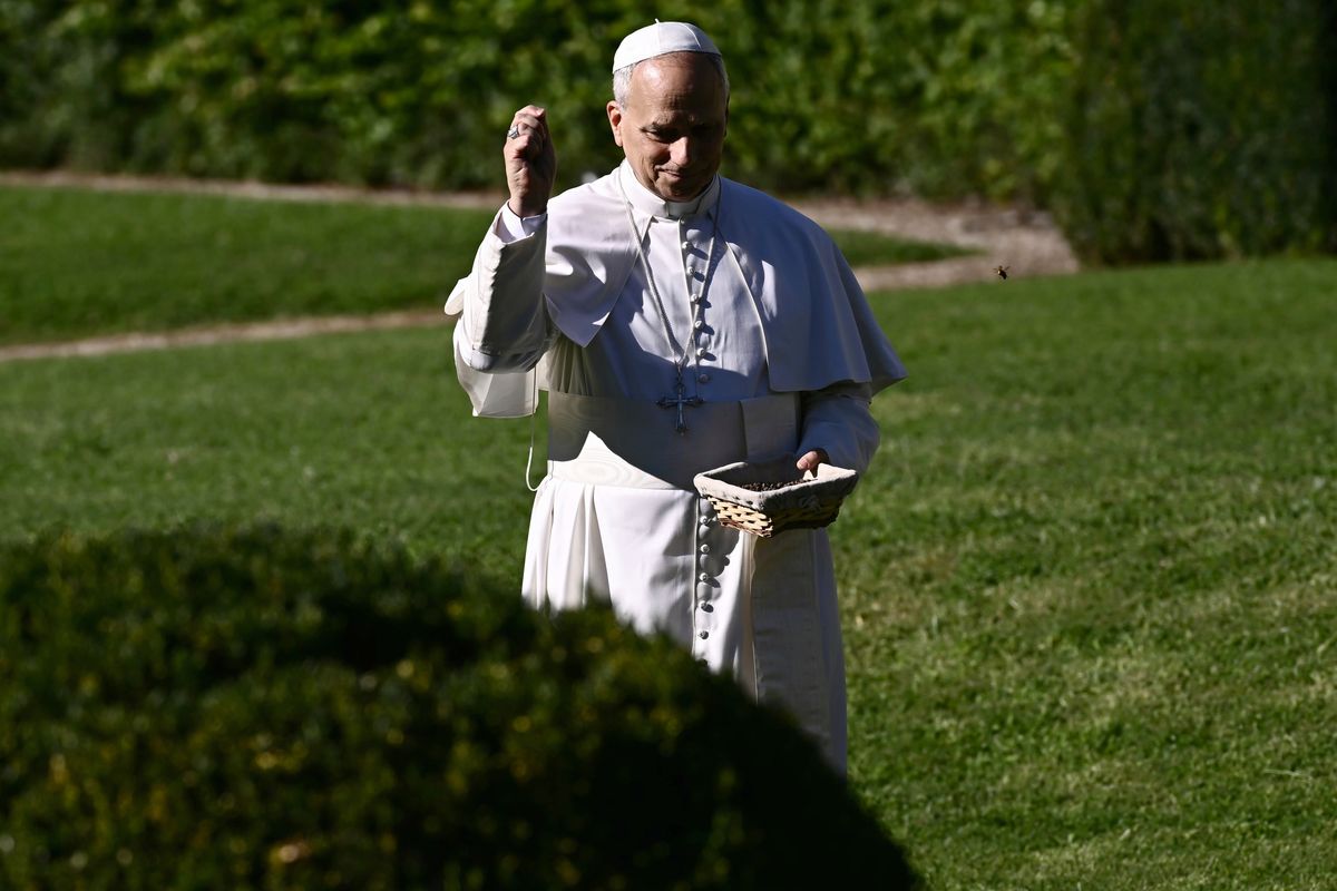 Pope feeds fish as he opens Vatican's ambitious model of sustainable f...