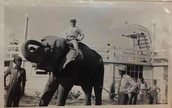 Chaffee’s historic above-ground pool celebrates 85 years as rare Ameri...