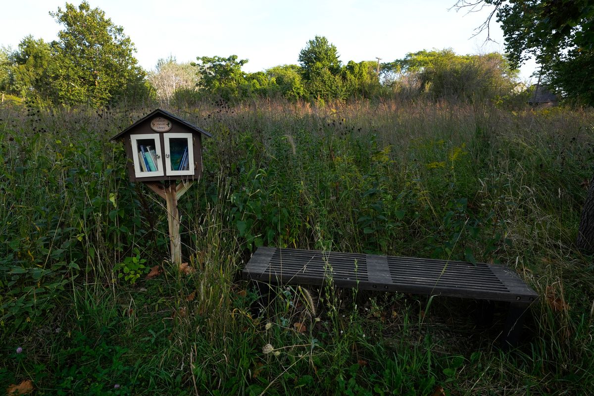 Urban communities that lack shade sizzle when it's hot. Trees are a cl...