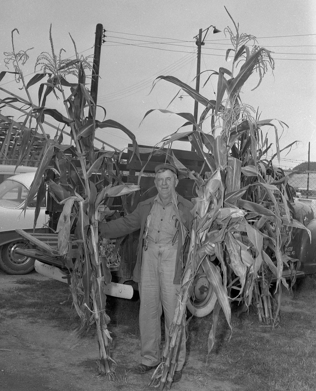 Captured on Film: Cape County farmer exhibits record-breaking corn cro...