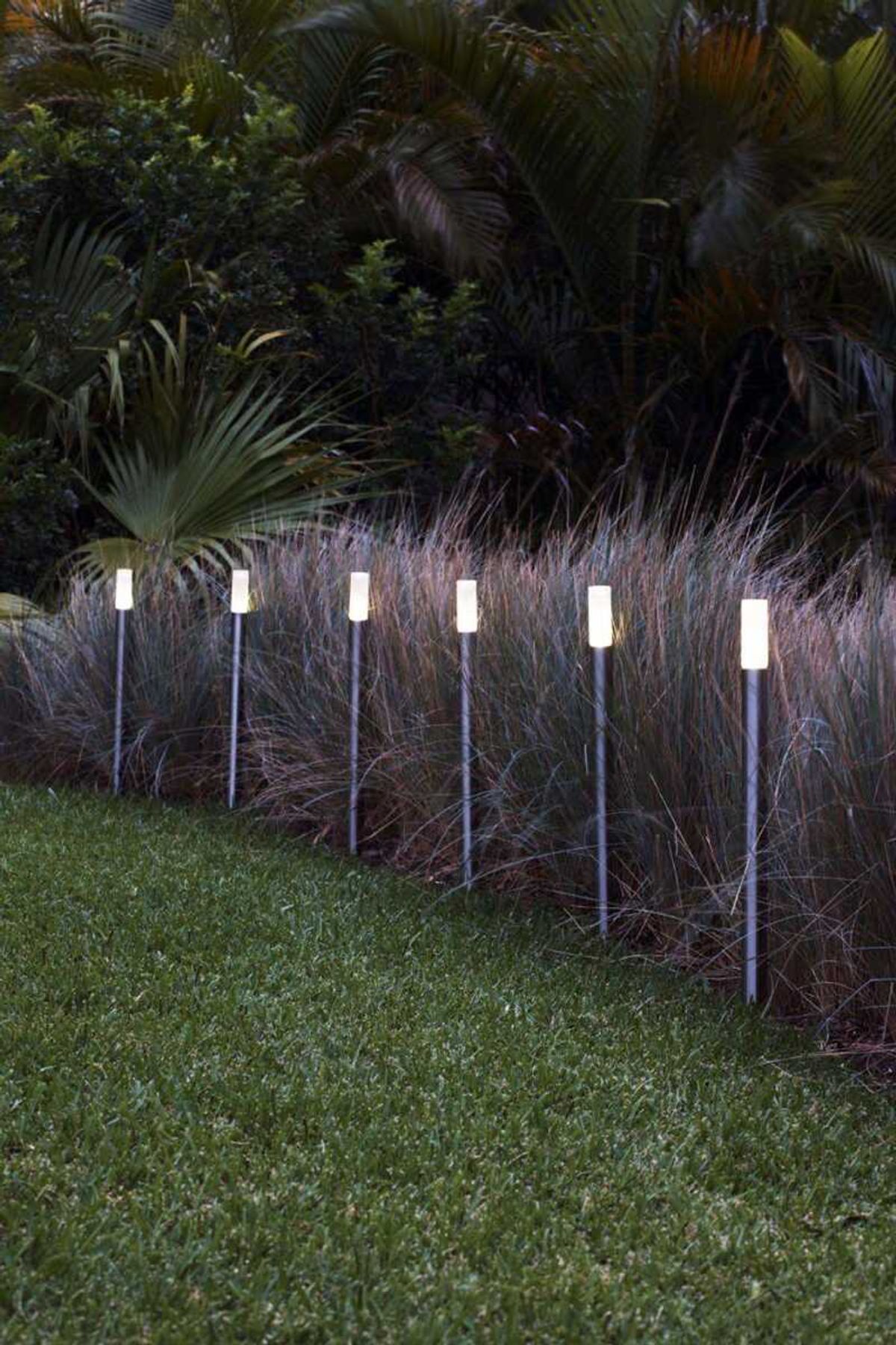 Give your garden a glow with solar-powered lights