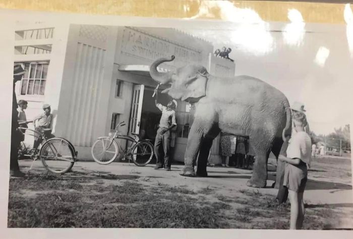 Chaffee’s historic above-ground pool celebrates 85 years as rare Ameri...