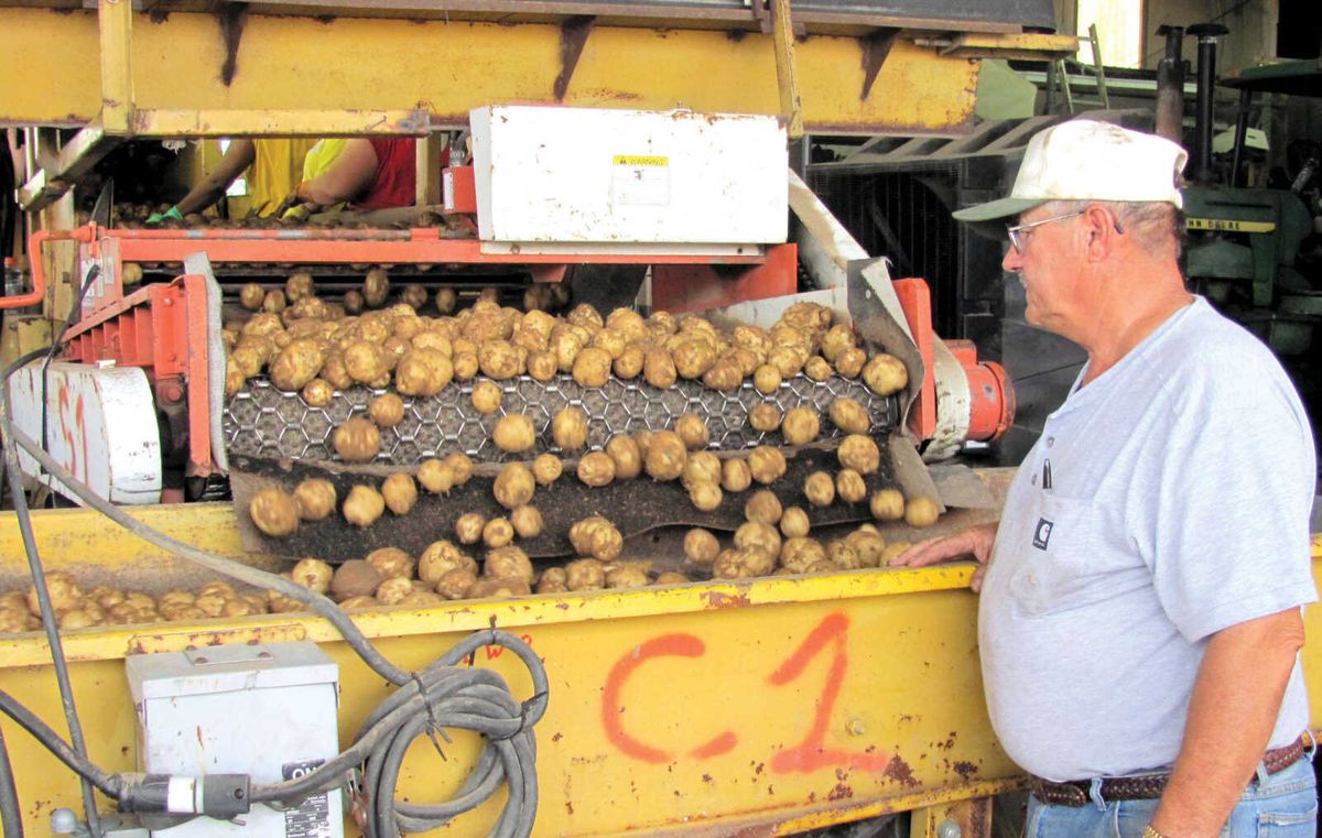 Southeast Missouri potato farms battle heat during harvest