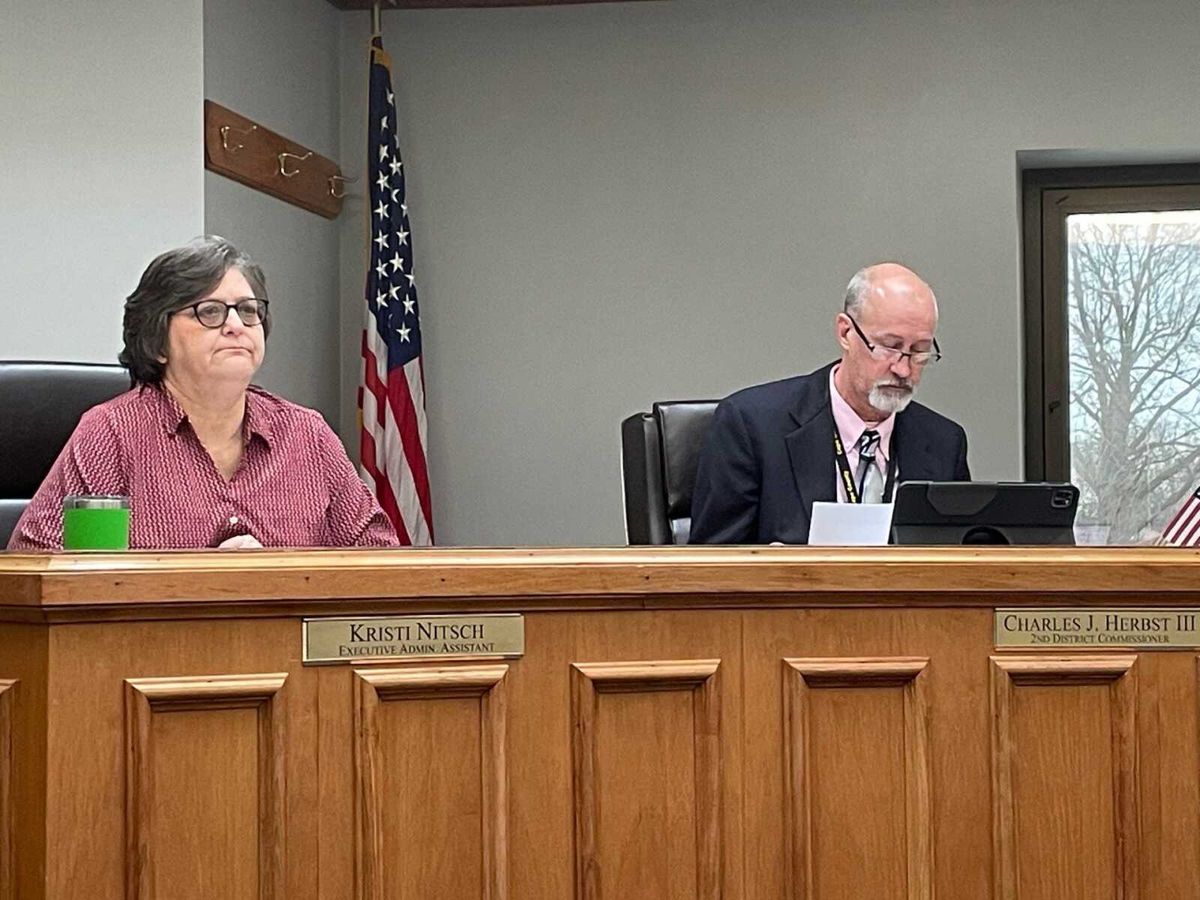 Commission appoints pair to economic panel