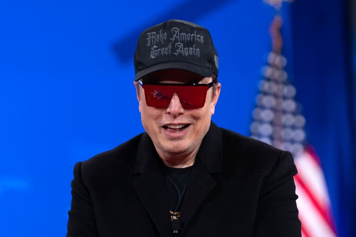 'Dark MAGA' spreads as conservatives embrace Musk's influence on Trump