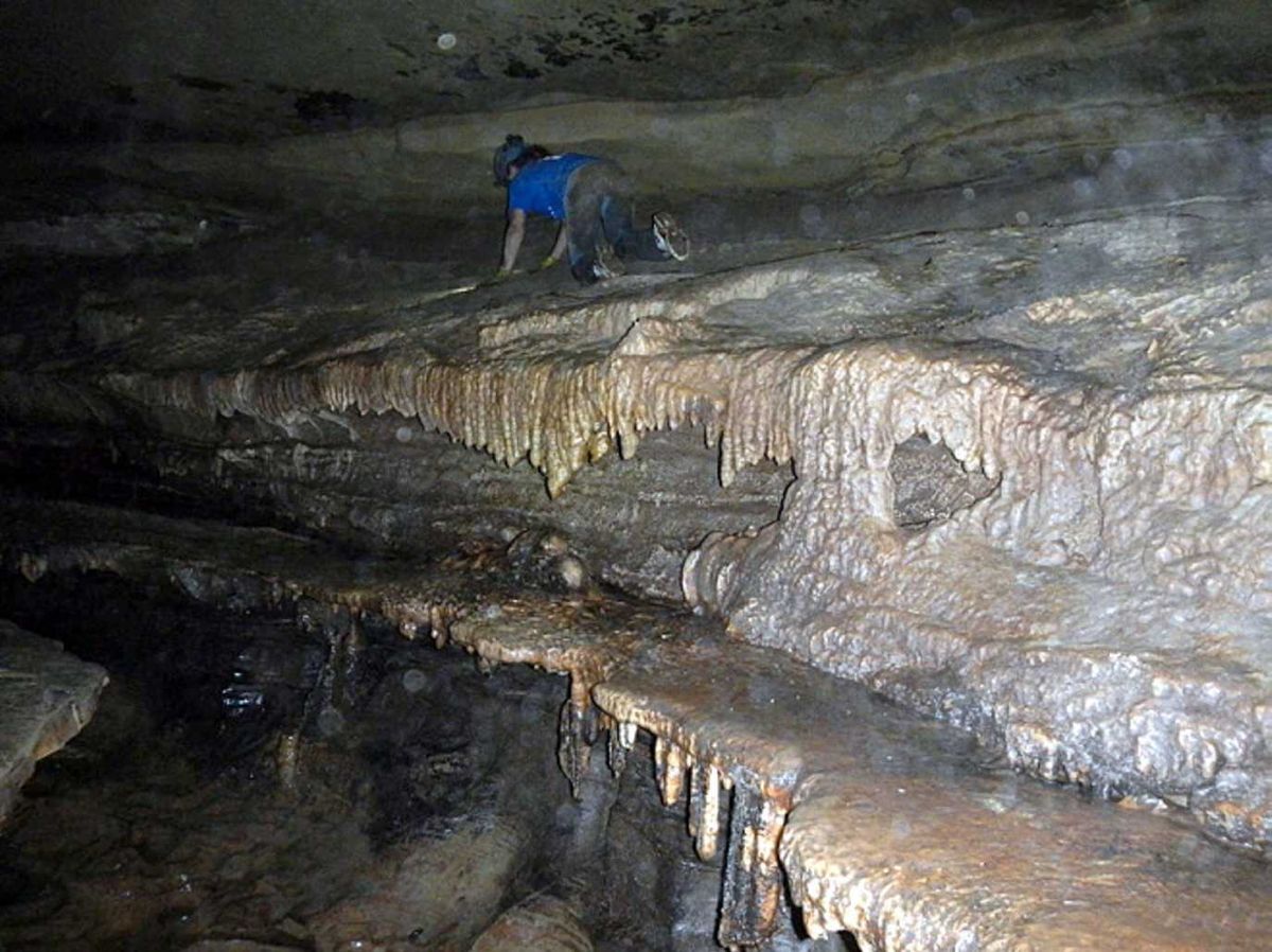 A walk on the wild side: 'Wild caving' class offered in Perryville nex...