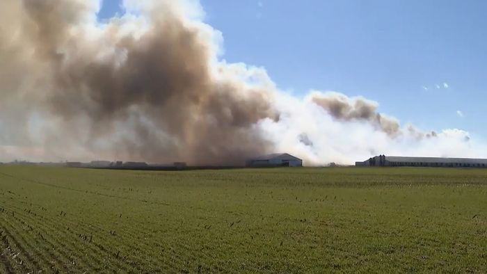 Fire at an Ohio farm complex kills about 6,000 hogs and smoke is visib...