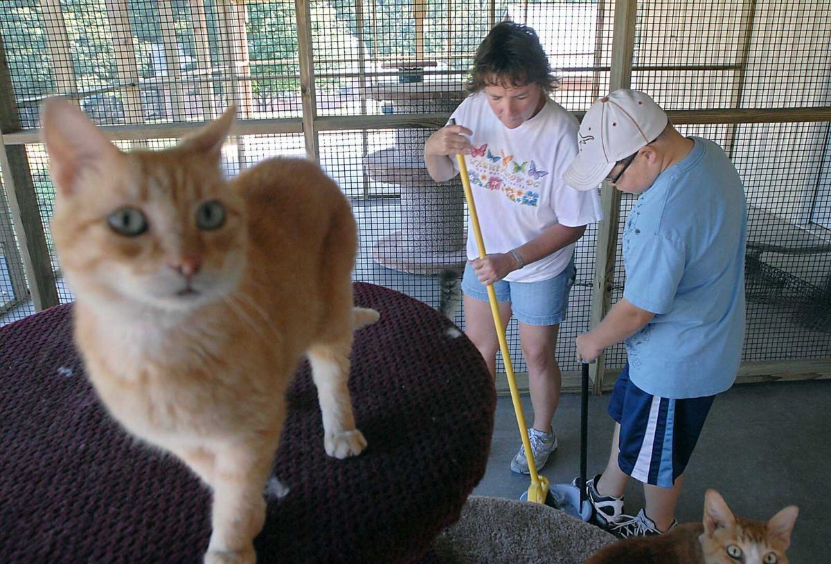 Safe Harbor Animal Sanctuary nears completion of expansion