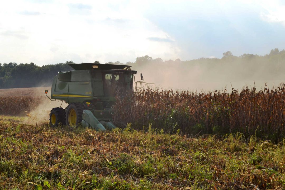 Bayer promises to suspend ‘unfair provisions’ in seed contra...